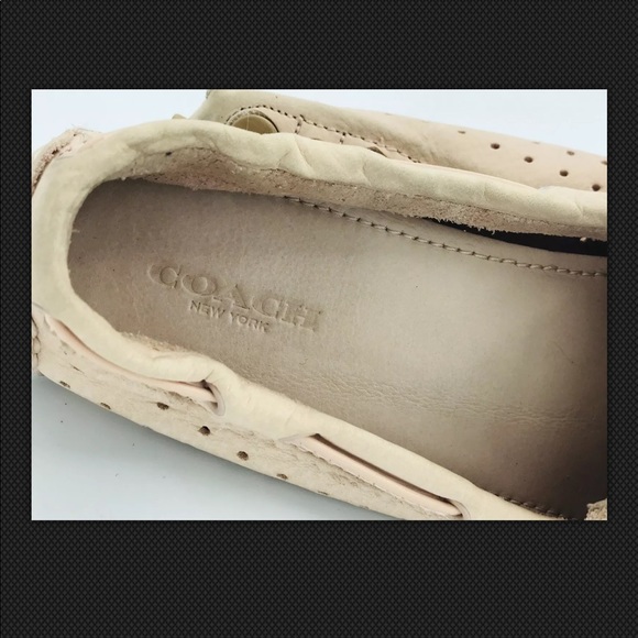 Coach | Shoes | Coach Nadia Driving Moc Loafer Sz 55 Perforated | Poshmark